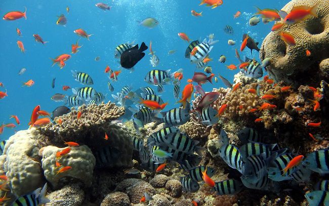 Ile de Con Dao top 9 des meilleures choses à faire sur Con Dao - Blog ...